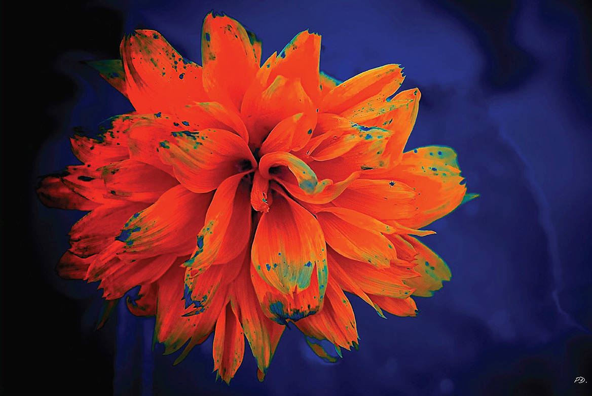 Izložba fotografija "Boja -RGB" u Grockoj